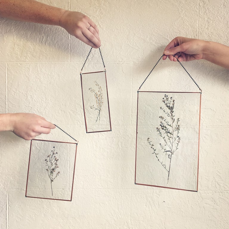 Soldered Specimen Frame - perennial