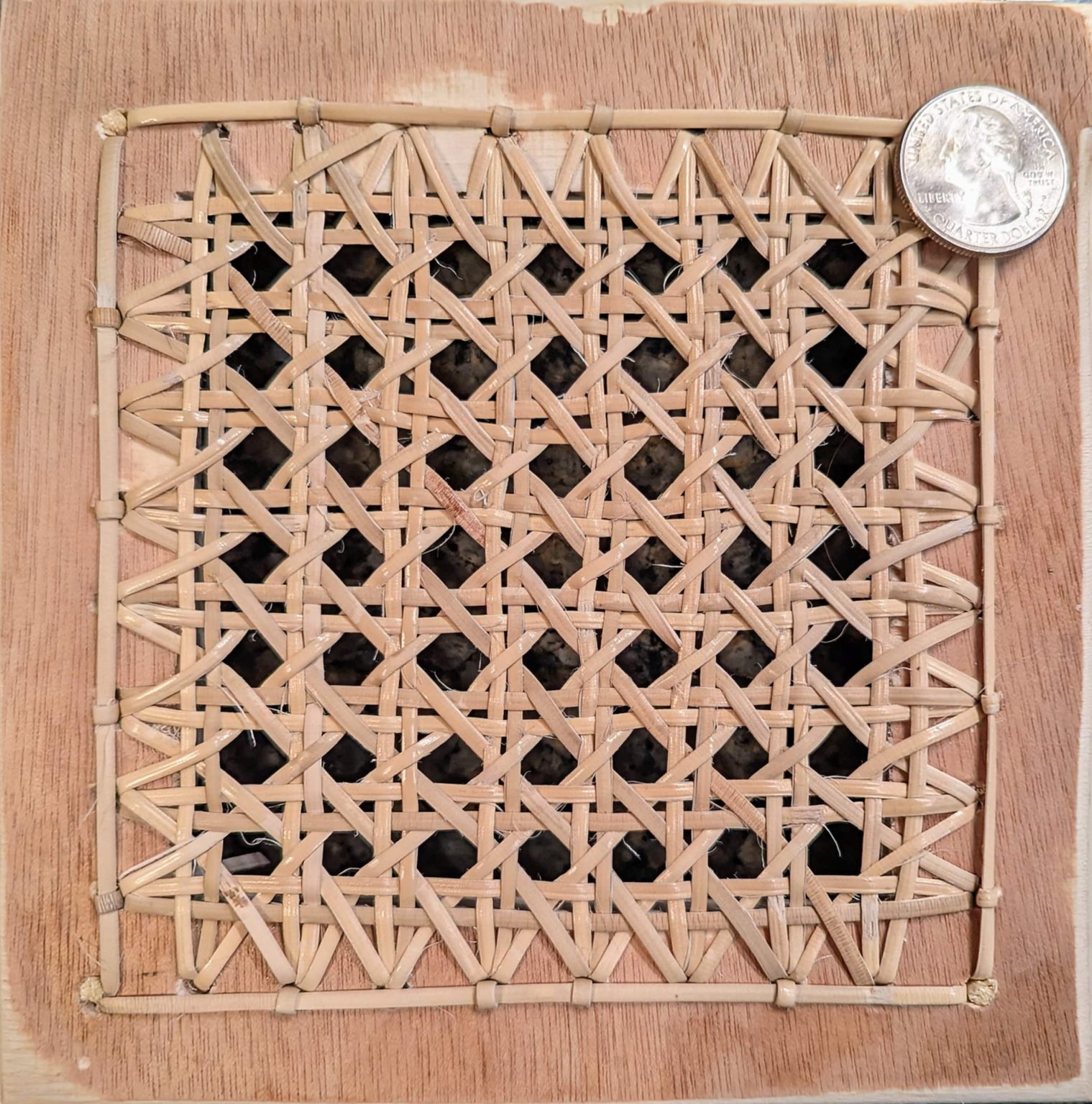 Intro to Chair Caning - perennial