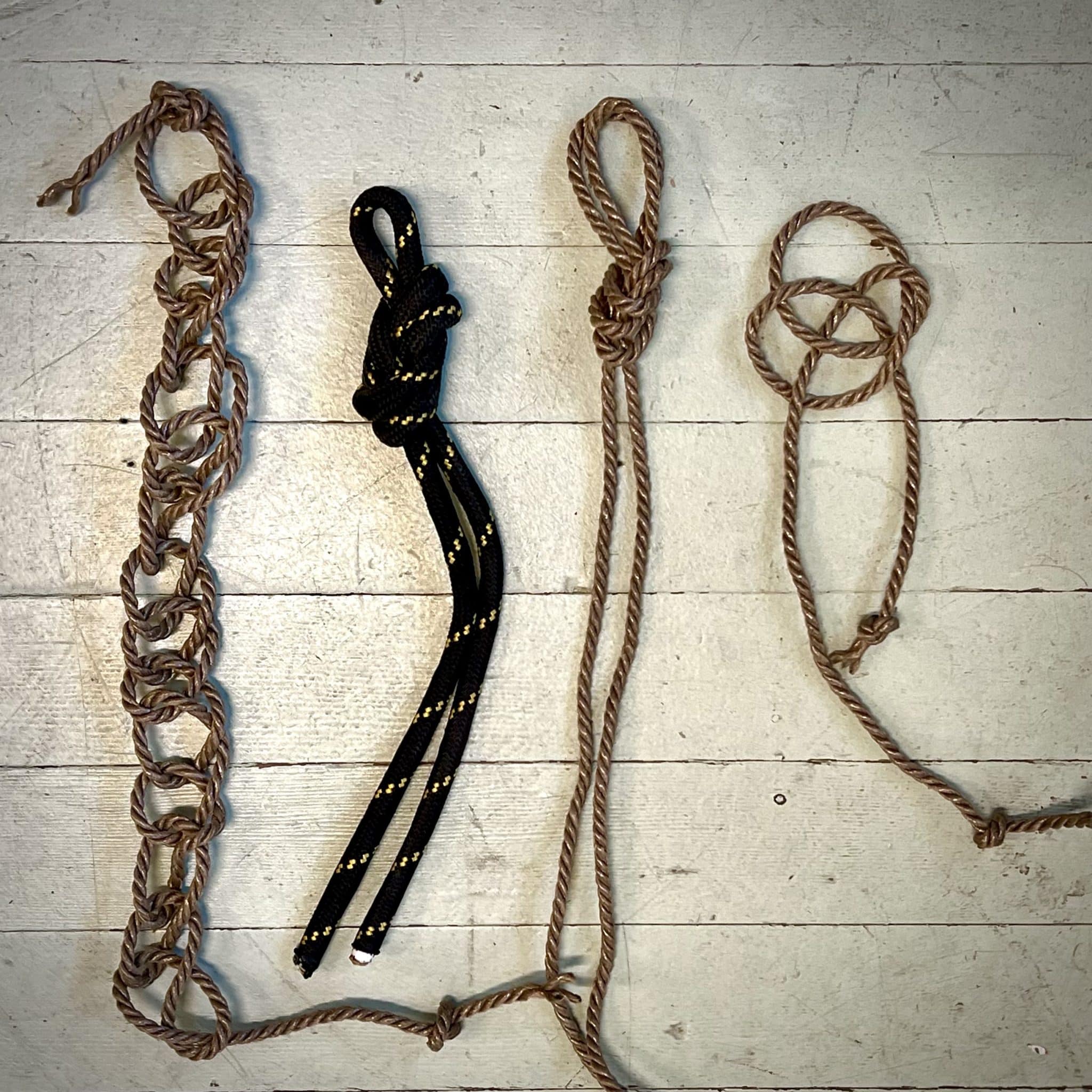 Knots of the Living Dead - perennial